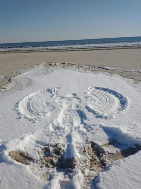 Fire Island’s Year in Pictures 2021 » Fire Island News & Great South ...