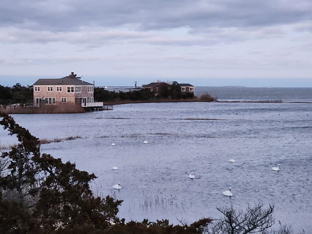 Nor’easter Yuletide: The Storm and its Aftermath on Fire Island » Fire ...